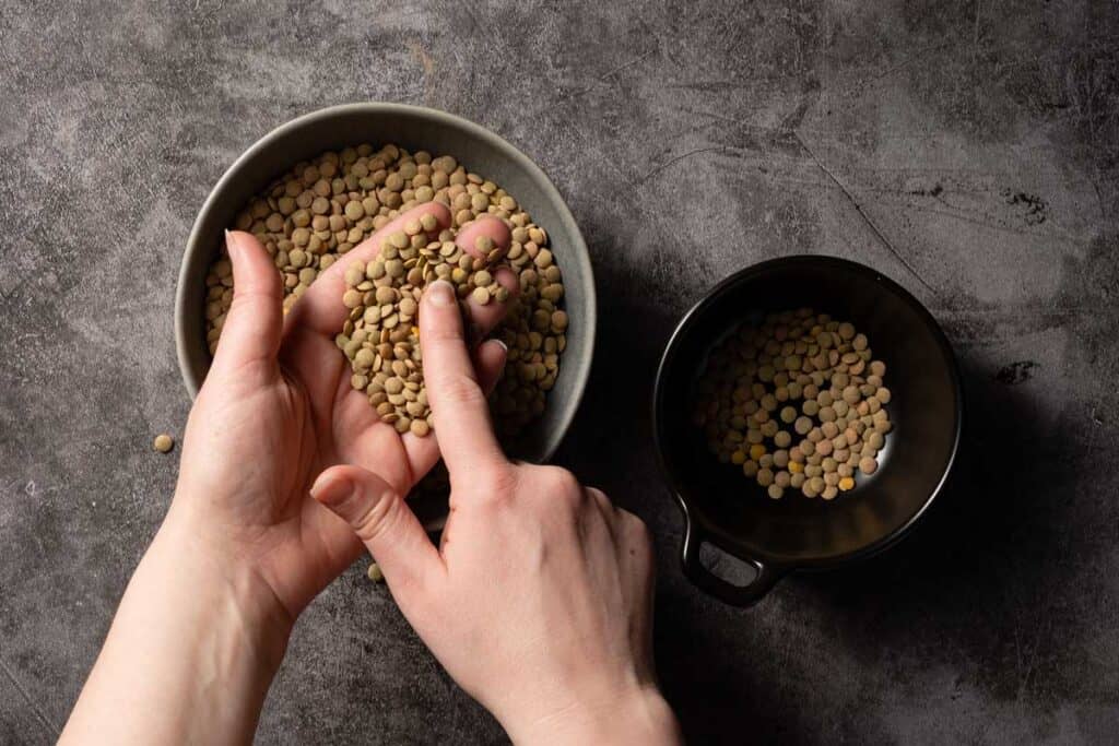 Lentil Potato Soup - Nibble and Dine