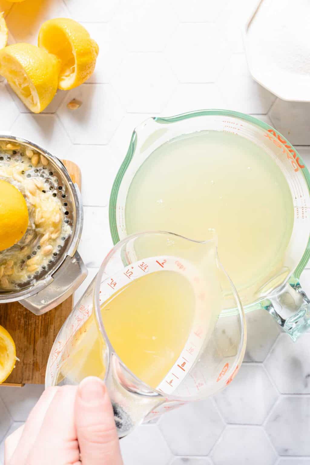 Best Lemon Popsicles - Nibble and Dine